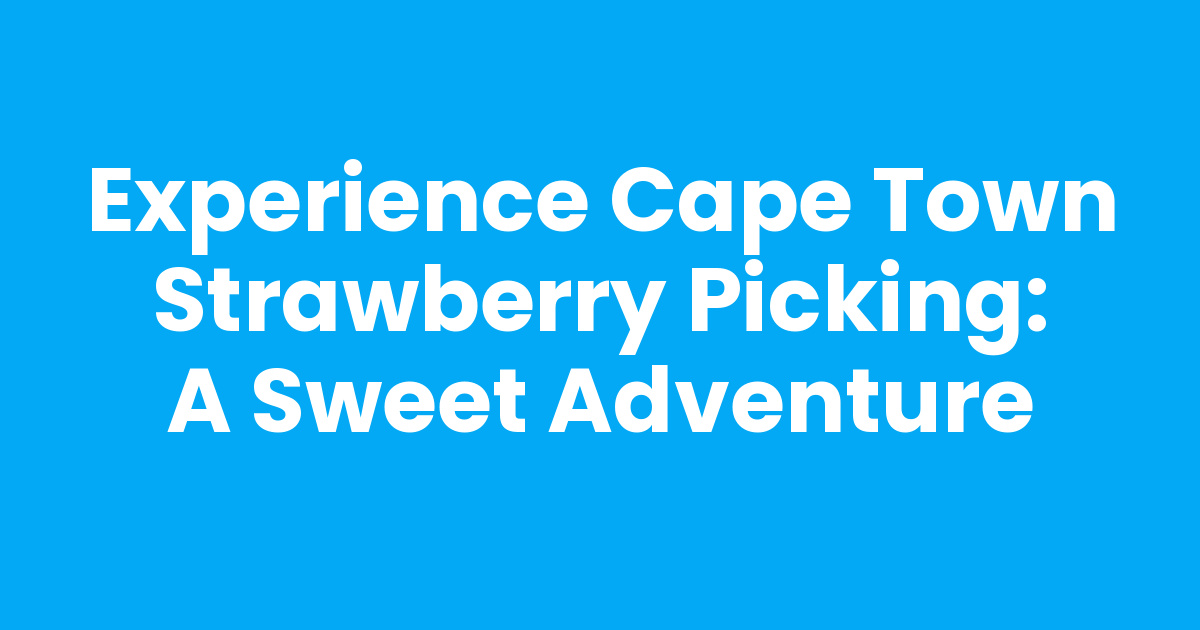 Experience Cape Town Strawberry Picking: A Sweet Adventure