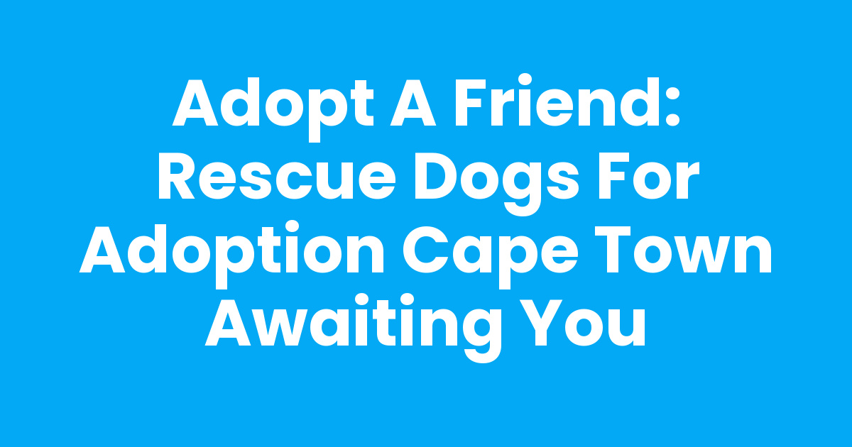 Adopt a Friend: Rescue Dogs for Adoption Cape Town Awaiting You