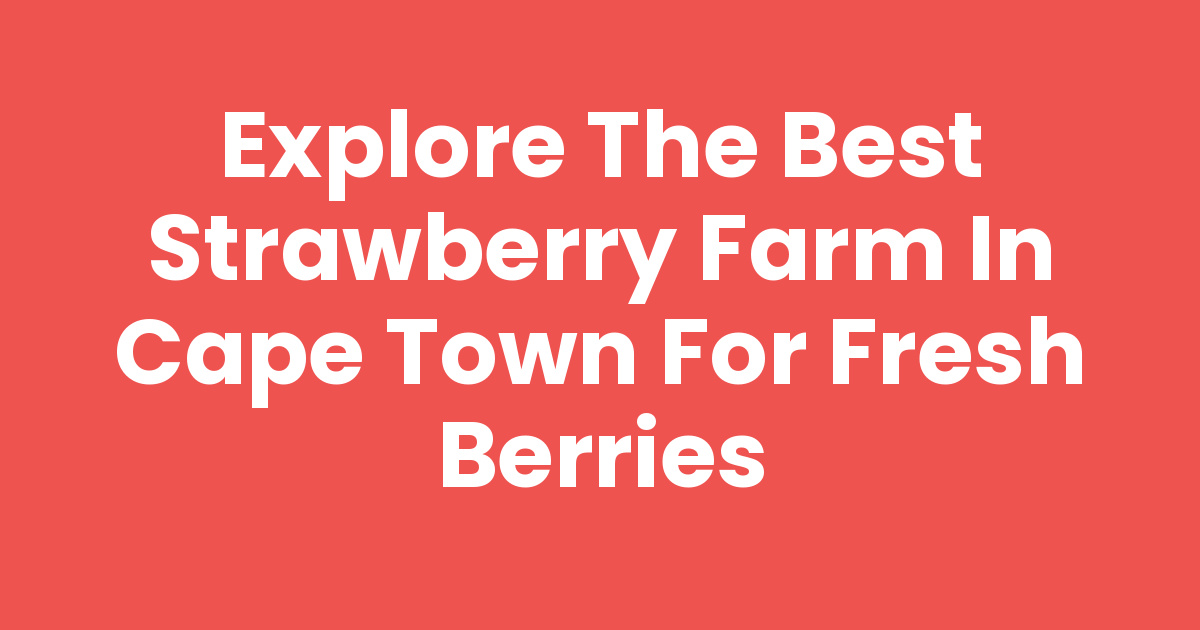 Explore the Best Strawberry Farm In Cape Town for Fresh Berries