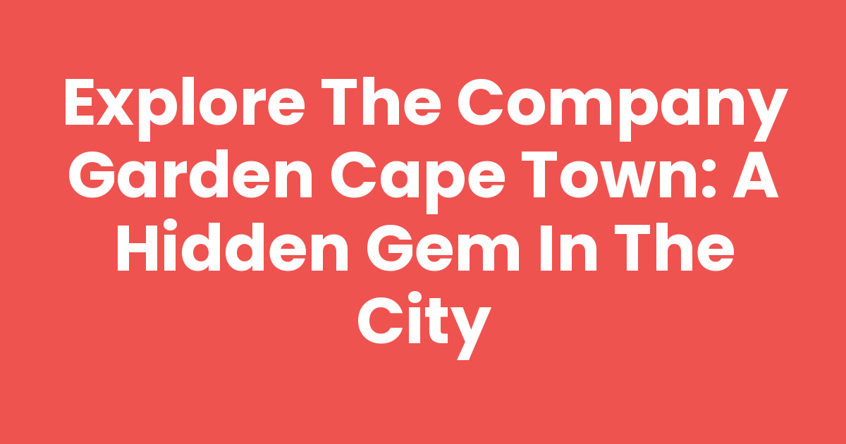 Explore The Company Garden Cape Town: A Hidden Gem in the City